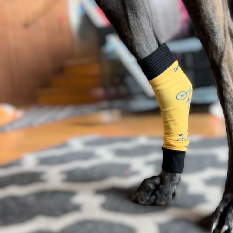 Leg Warmers for Dogs - Etsy