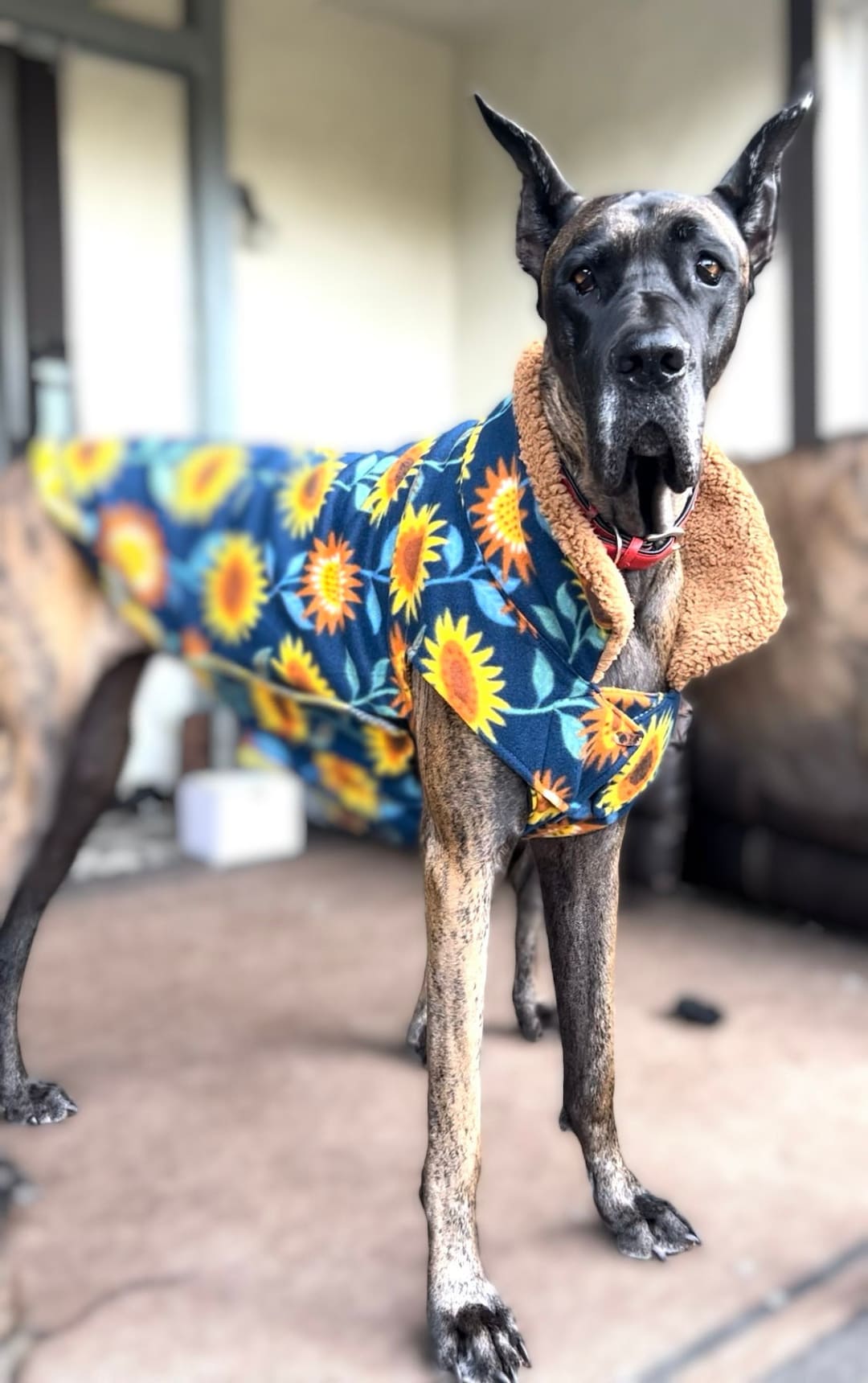 Great Dane/big Dog Double Layered Fleece Cold Weather Vest/coat With ...