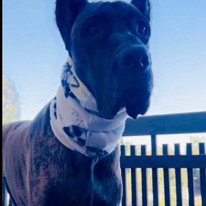 Raccons on Bikes Snood for Dogs, Great Dane/big Dog Snood, Bicycle ...