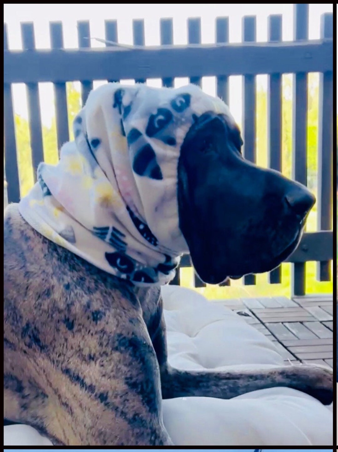 Raccons on Bikes Snood for Dogs, Great Dane/big Dog Snood, Bicycle ...