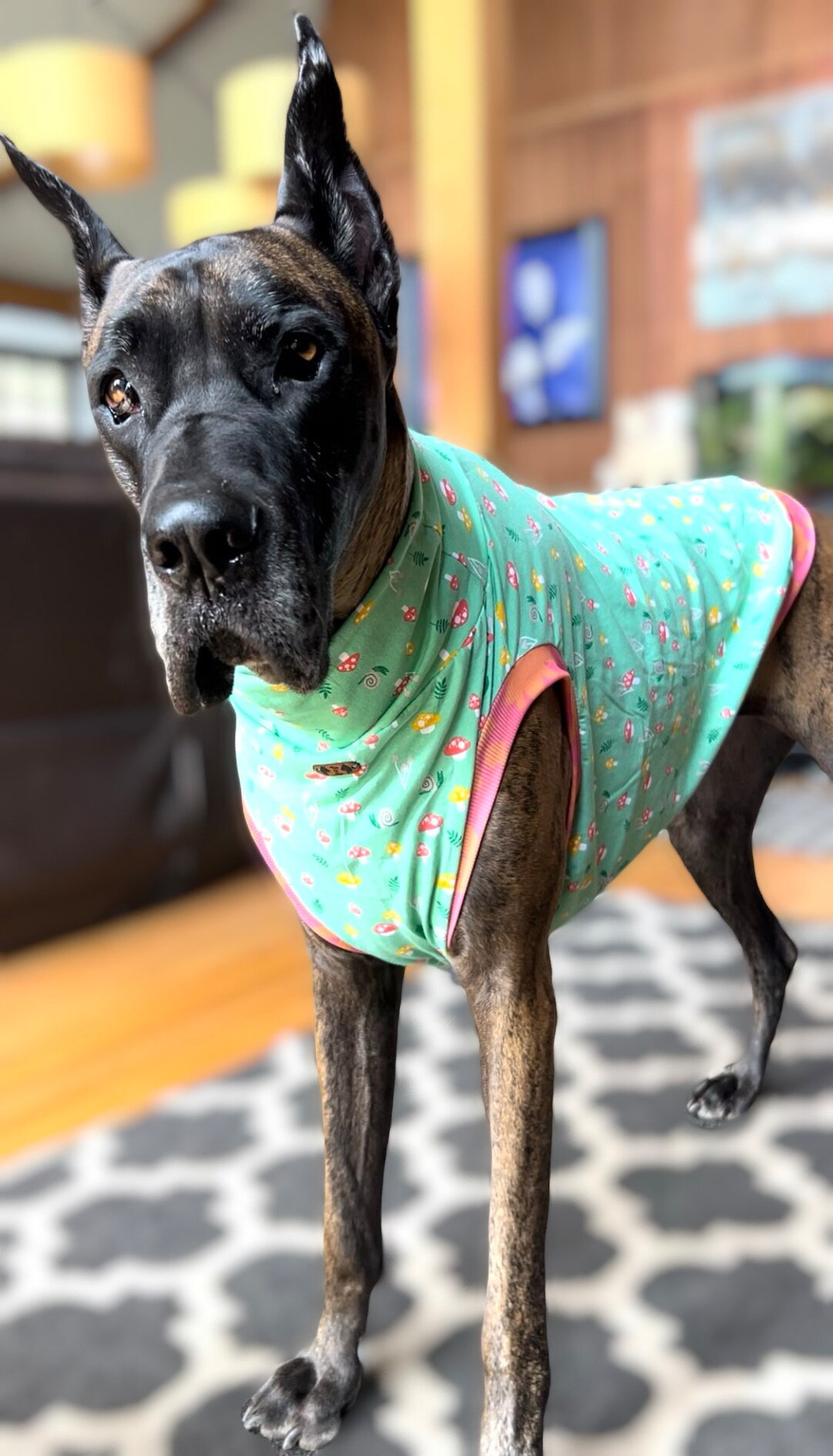 Great Dane / Large Breed Dog Nature, Leaves Lightweight Knit Tee Shirt ...