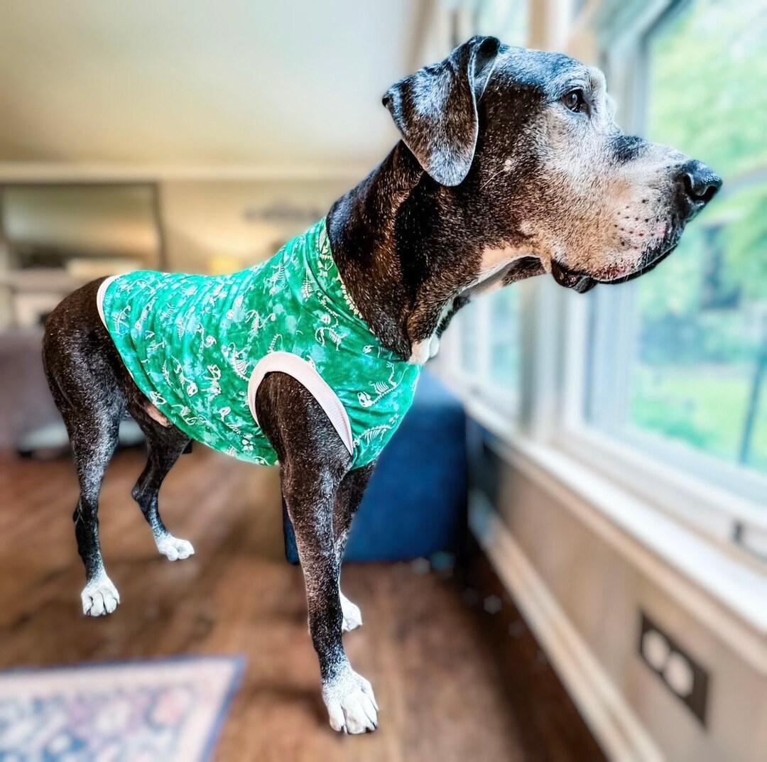 Great Dane / Large Breed Dog Lightweight Knit Dinosaur Tee Shirt. Warm ...