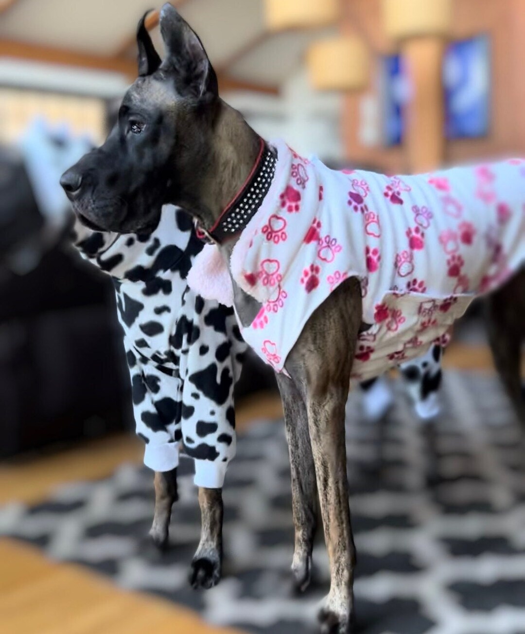 Great Dane/big Dog Double Layered Fleece Cold Weather Vest/coat With ...