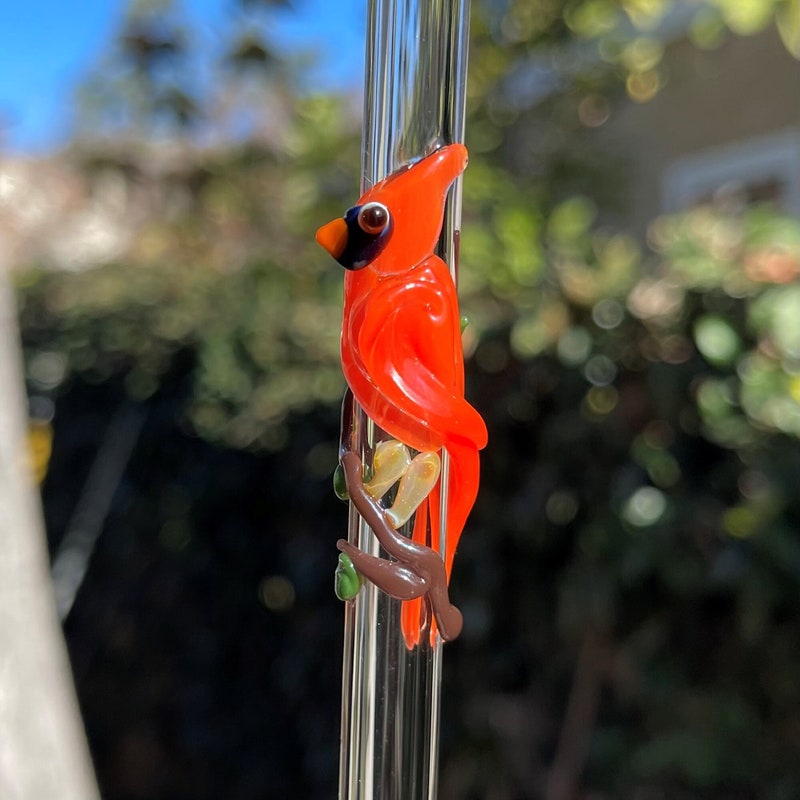 Cardinal and Straw - Etsy