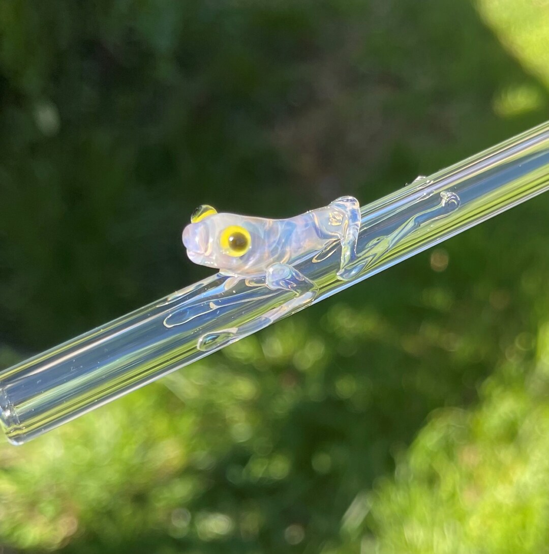 Frog Glass Straw 2 Unique Handmade Reusable Drinking Accessory for ...