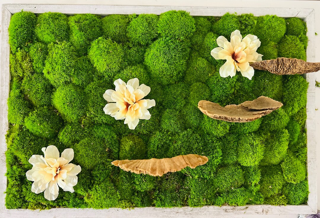 Moss Wall Art Preserved Moss Artwork Framed Moss Art Moss Wall Hangings ...