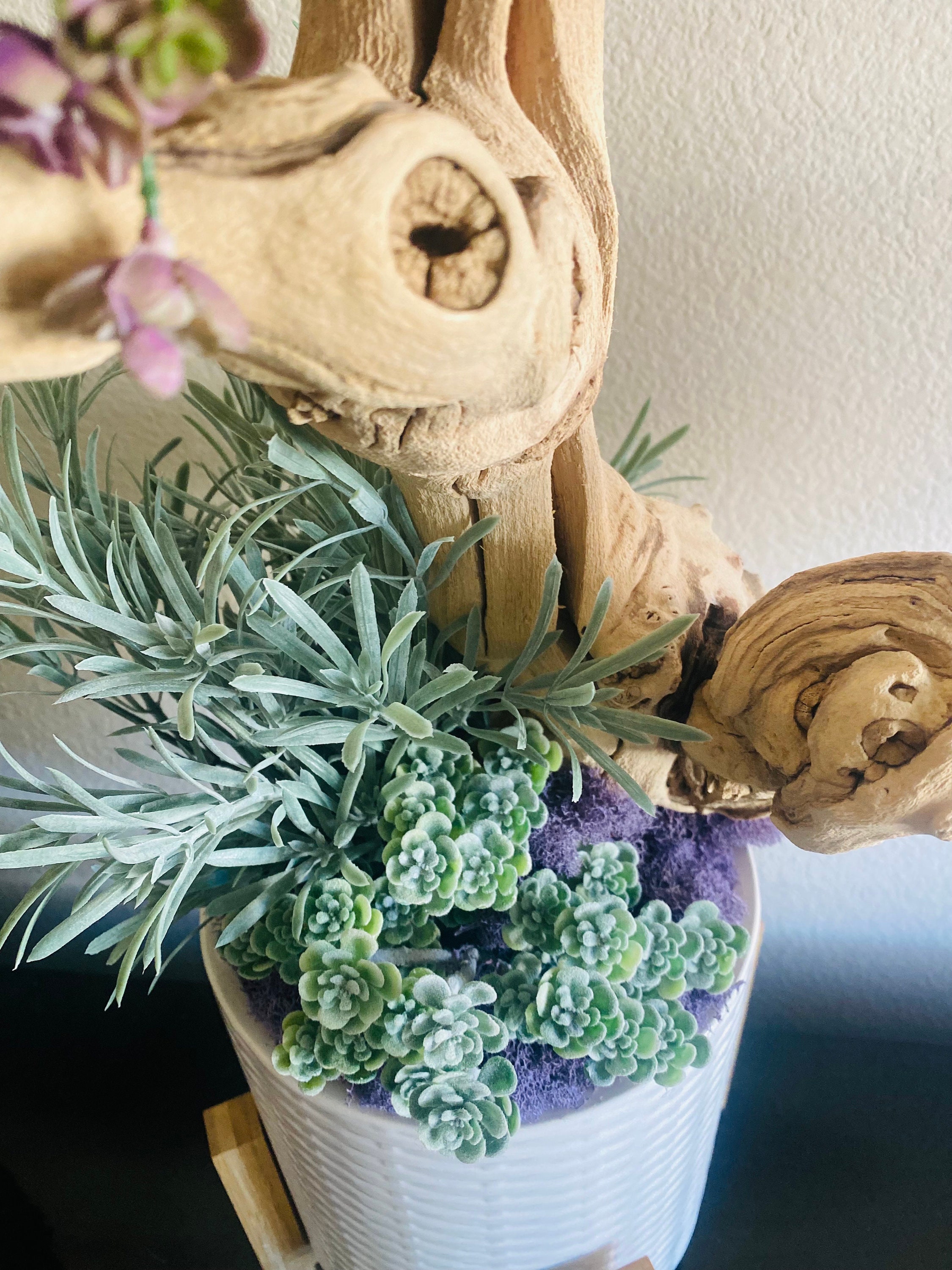 Grapewood Grapewood Branch Natural Plants Large Grapewood Arrangement ...