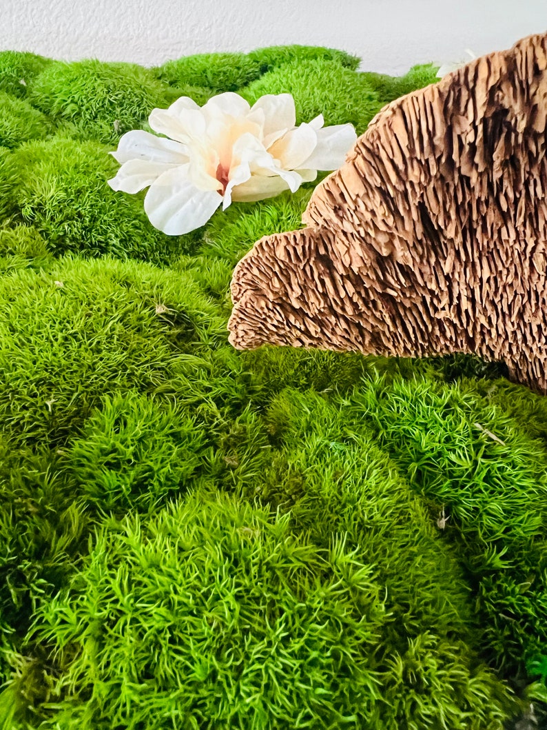 Moss Wall Art Preserved Moss Artwork Framed Moss Art Moss Wall Hangings ...