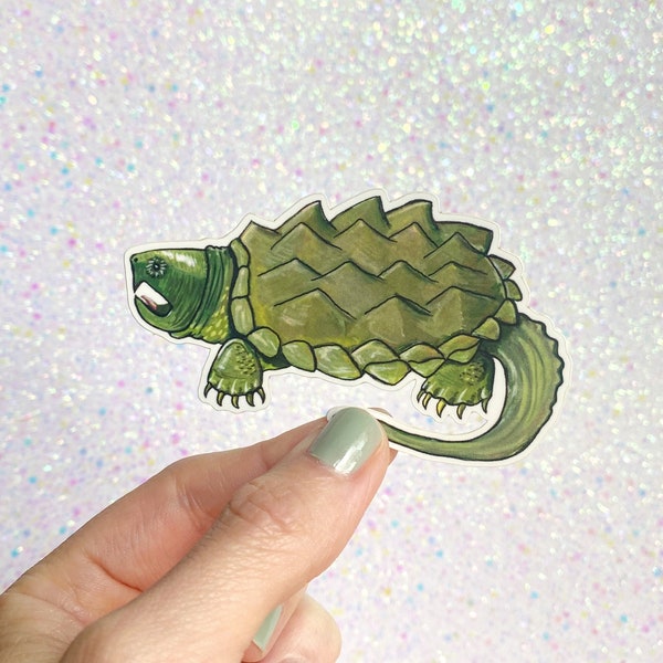 Snapping Turtle Svg - Etsy