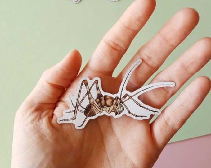 Cave Cricket Magnet // Bug Gift // Crickets // Wildlife Magnets ...