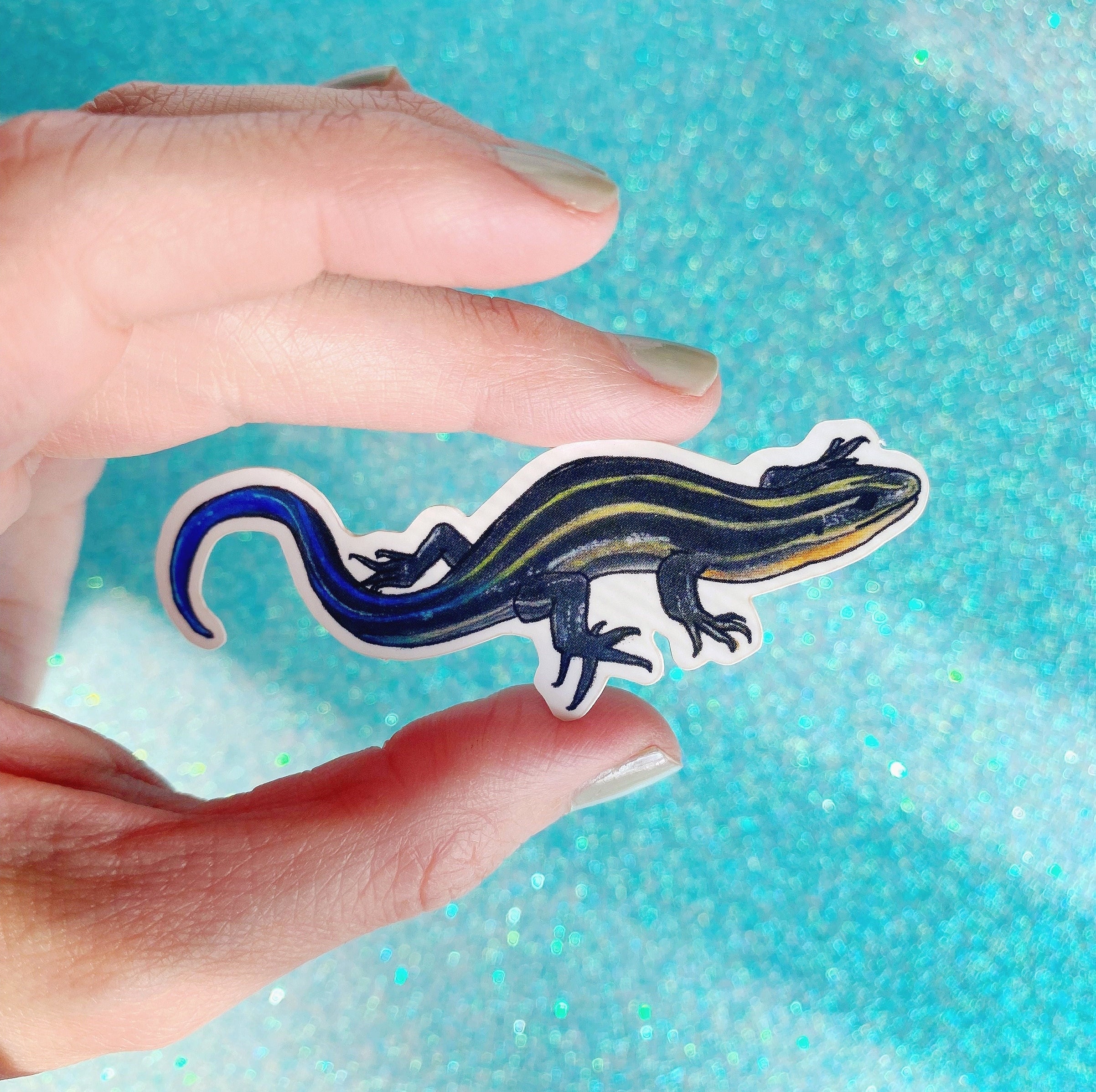 Five Lined Skink Vinyl Sticker // Blue Tailed Skink // Lizard Sticker ...
