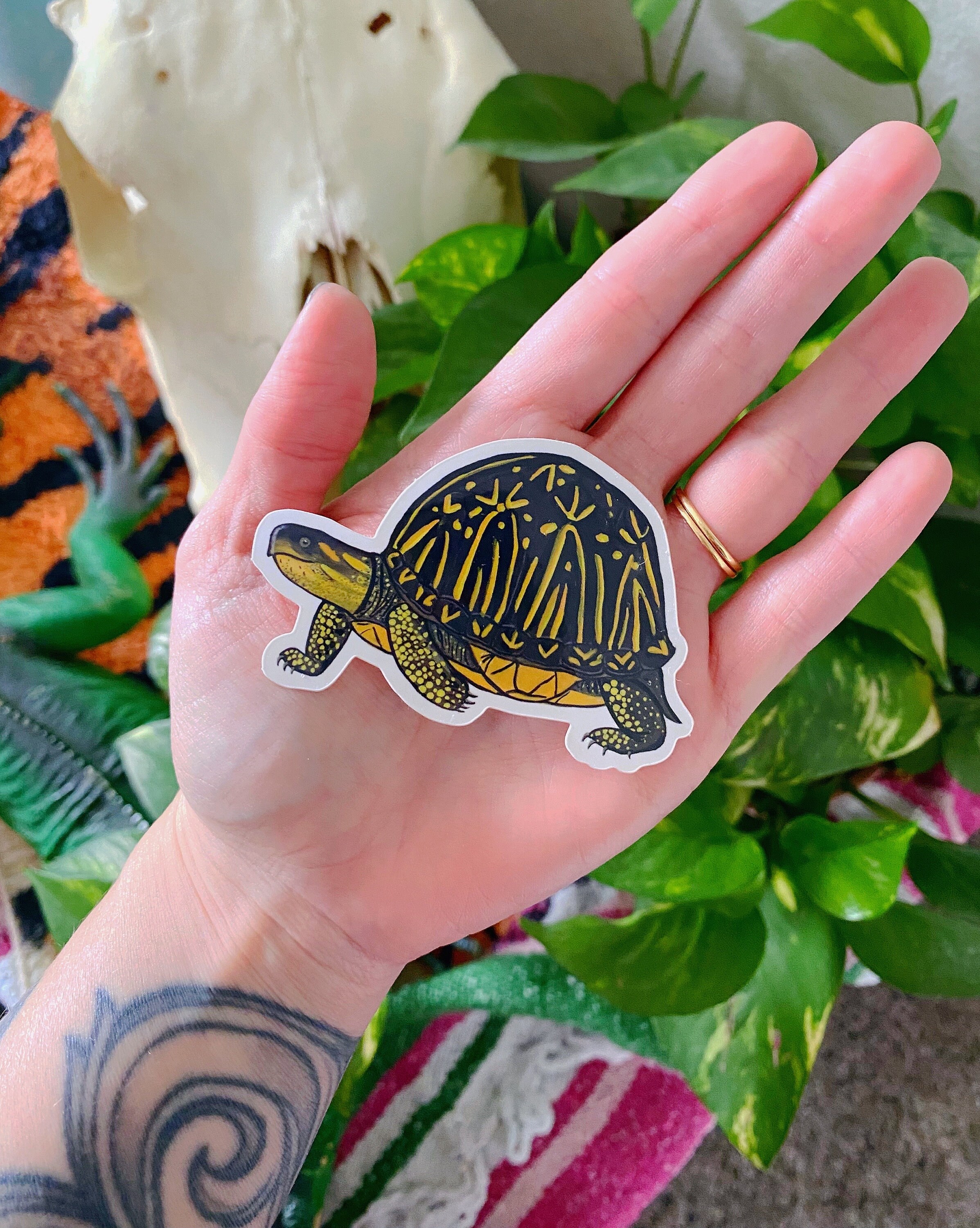Florida Box Turtle Vinyl Sticker // Animal Sticker // Nature Sticker ...