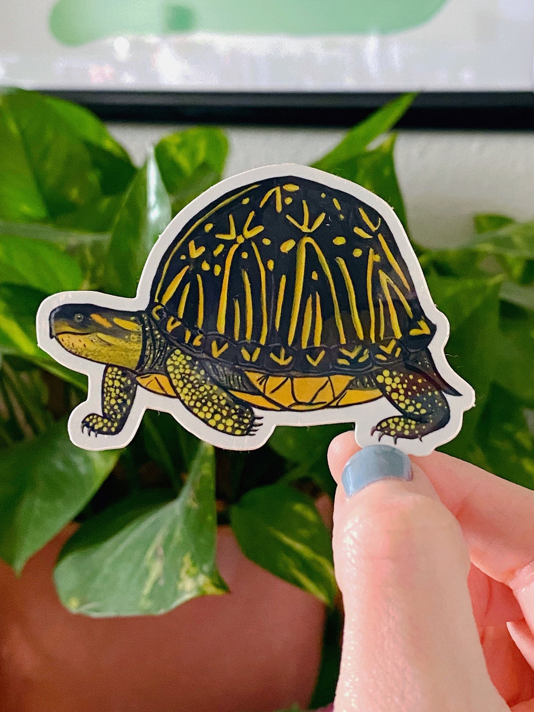 Florida Box Turtle Vinyl Sticker // Animal Sticker // Nature Sticker ...