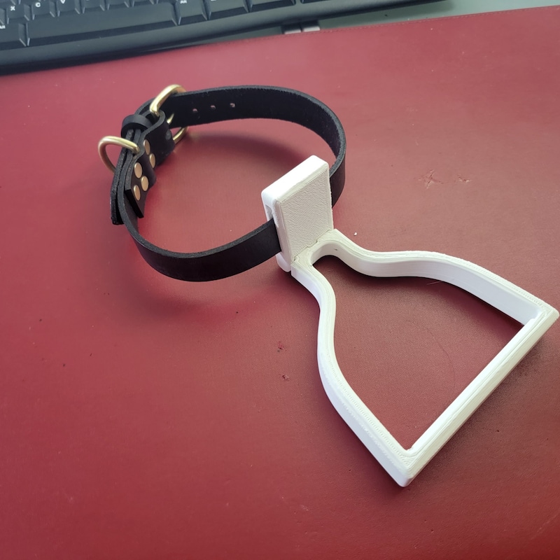 Shock Collar for Humans - Etsy