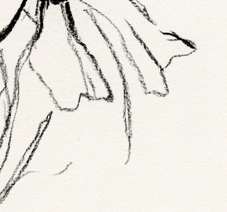 Daisy Line Art Print Set: Modern Floral Sketch Wall Decor - Etsy