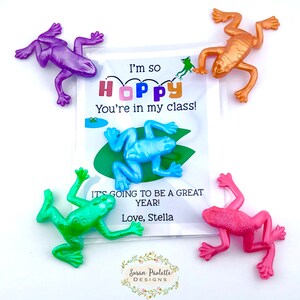 Back to School Party Favors, Stretchy Frogs Gifts for Class, Open House ...