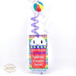 End of Year Straw Party Favors, Summer Classroom Gift, Teacher Gift for ...