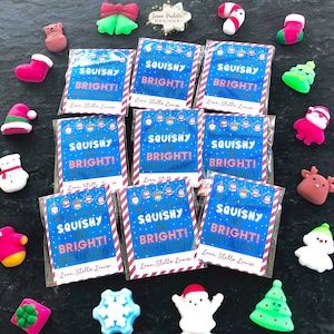 Christmas Party Favors, Squishy Toy Classroom Favor, Teacher Holiday ...