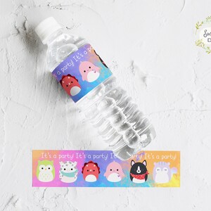 Rainbow Squishy Birthday Party Decorations Water Bottle Labels Squishy ...