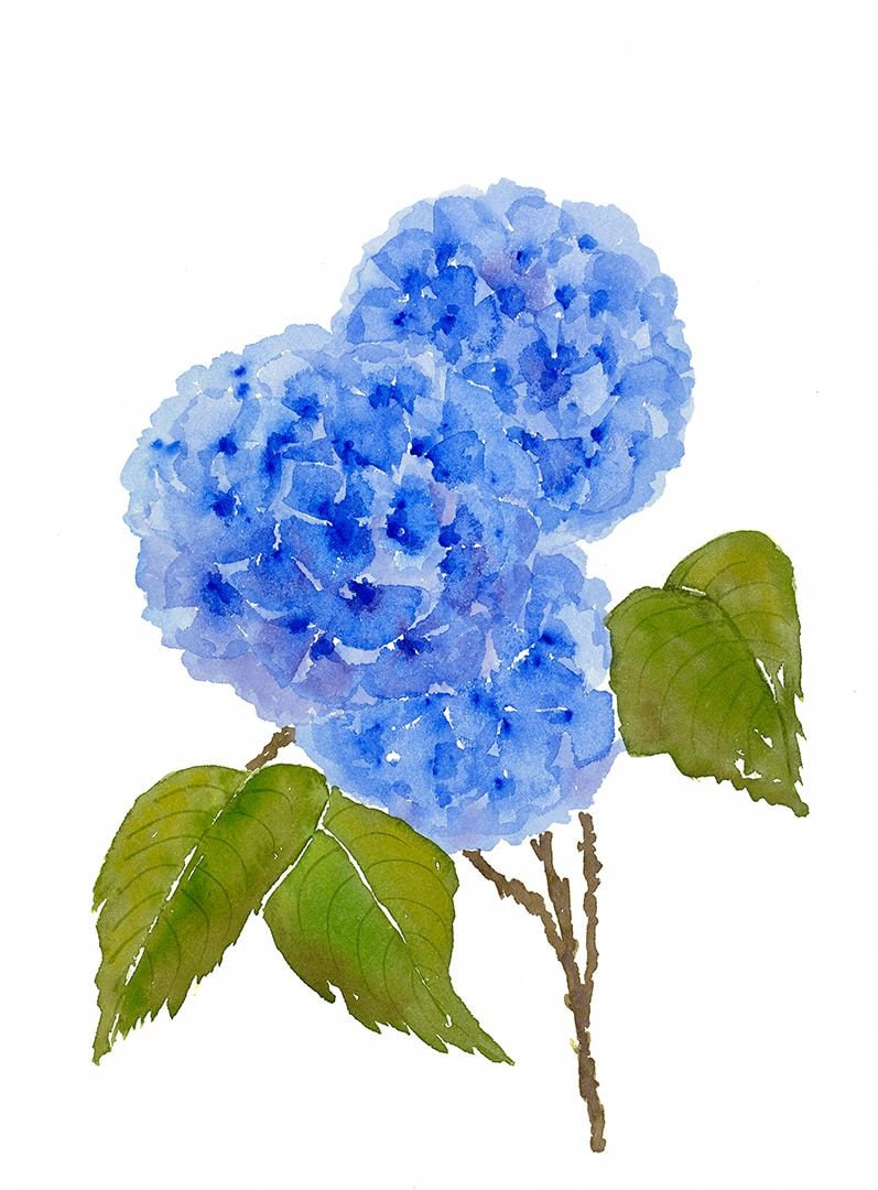 Watercolor Print: Blue Hydrangeas - Etsy