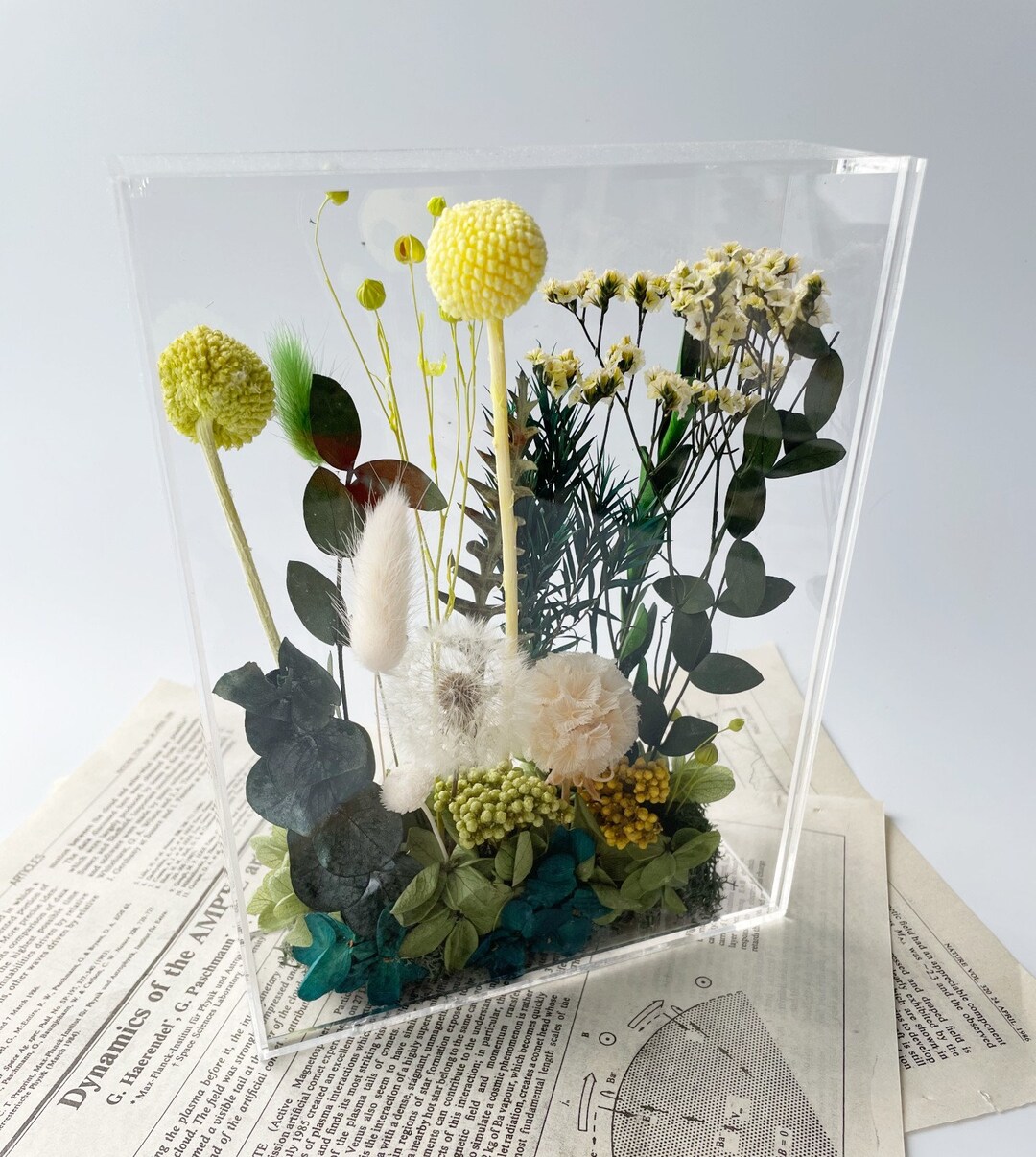 Preserved Flower in Custom Acrylic Box/custom Preserved Flower Frame ...