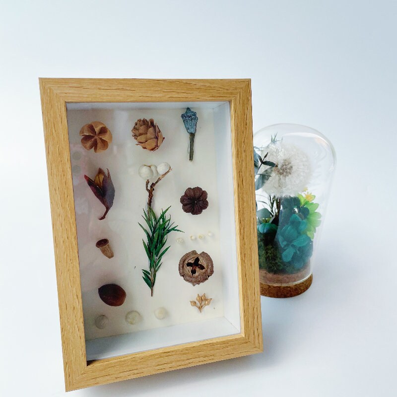 Dried Seed Pods Frame for Decorations/wall Craft Decor/seedpods and ...