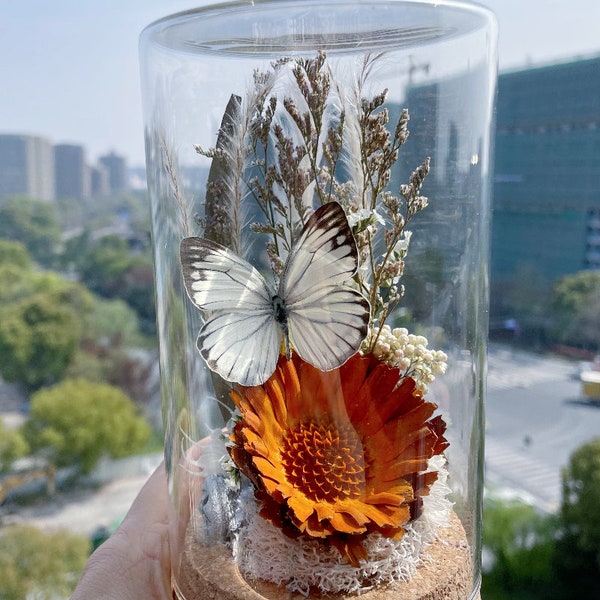 Dried Butterfly - Etsy