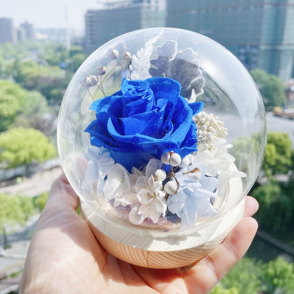 Rose in Glass Dome - Etsy