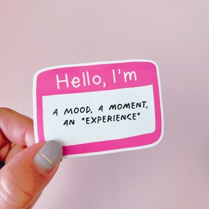 Hello Im Funny Name Tag Sticker, Waterproof Badge - Etsy
