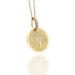 14Κ Moissanite Tree of Life Necklace, Gold Tree Pendant, Personalized ...