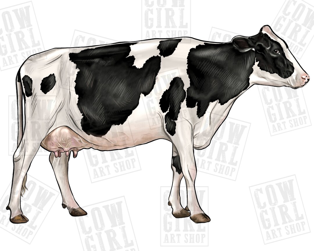 Holstein Cow Png Sublimation Design Download, Hand Drawn Cow Png ...