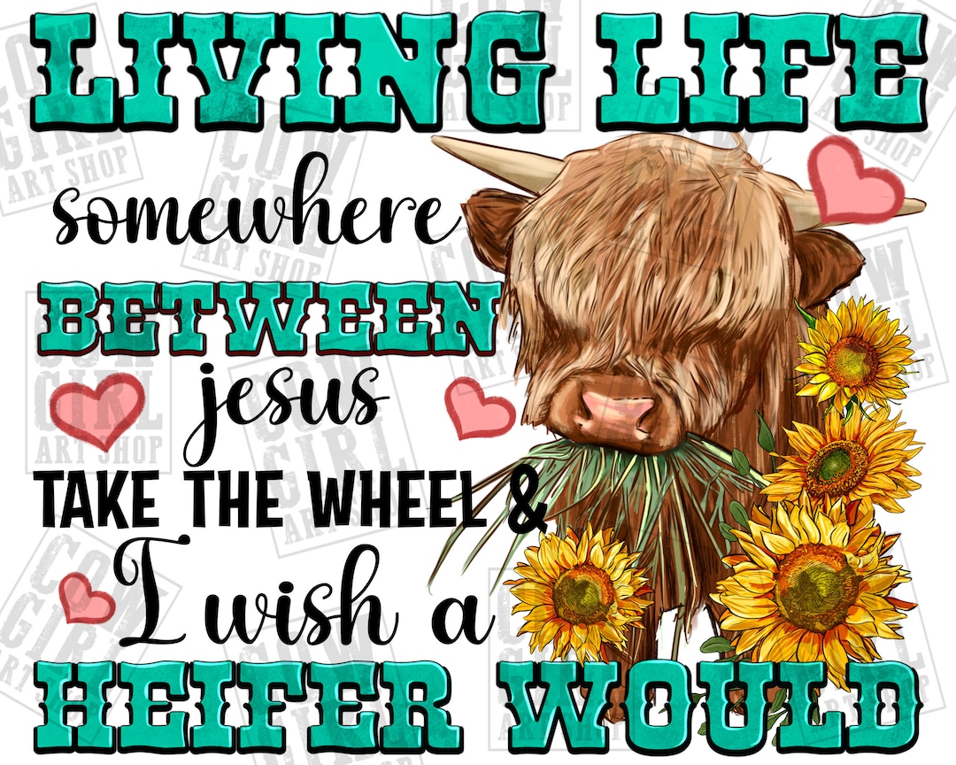Living Life Somewhere Between Jesus Take the Wheel and I Wish a Heifer ...