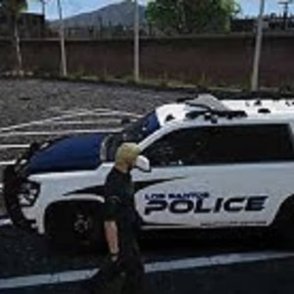 Fivem Police Pack - Etsy