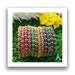 Multi Color Silk Thread Bangle Combo Pack (set of 4) - Etsy