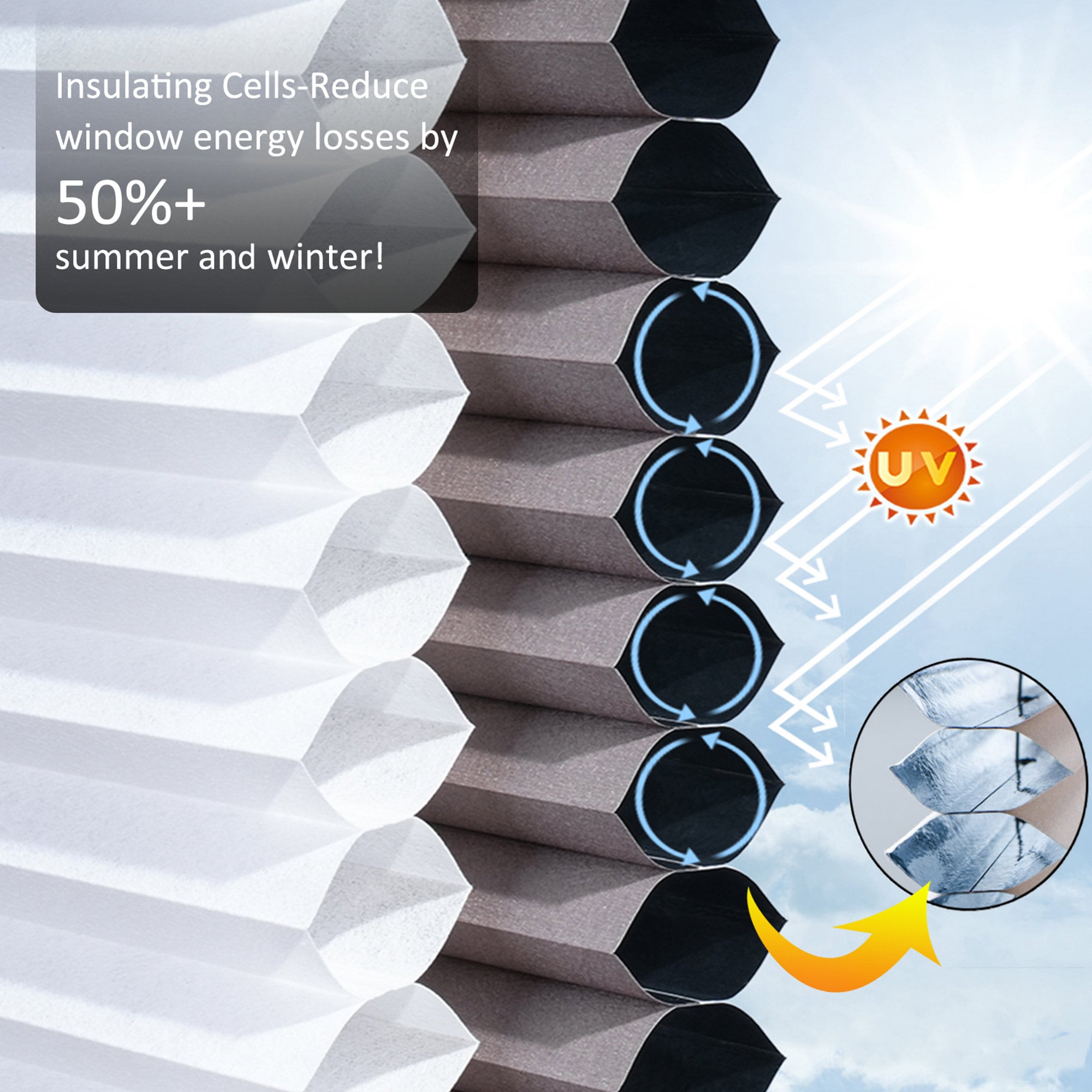 Thermablind Cellular Cordless Blinds for Windows (light Filtering); Top ...