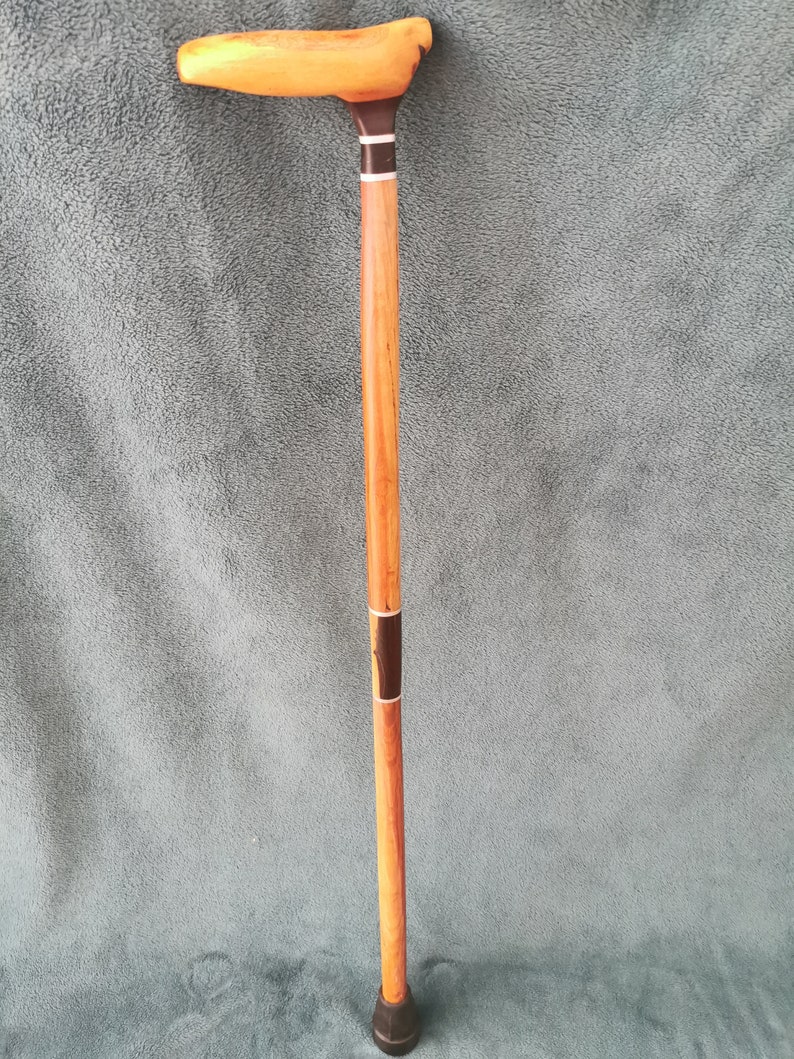 Hairy Oak Walking Stick With Western Rosewood Handle - Etsy