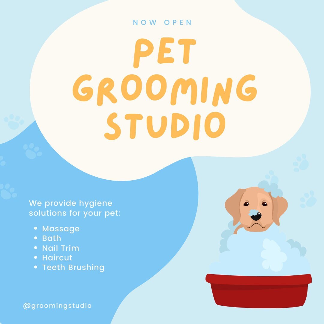 Pet Grooming Studio Flyer Etsy