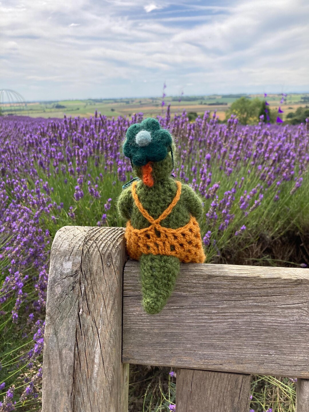Knitted Frog Flower Hat - Etsy UK