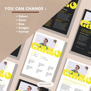 Executive Resume Template: Modern, Professional CV Design for Canva ...