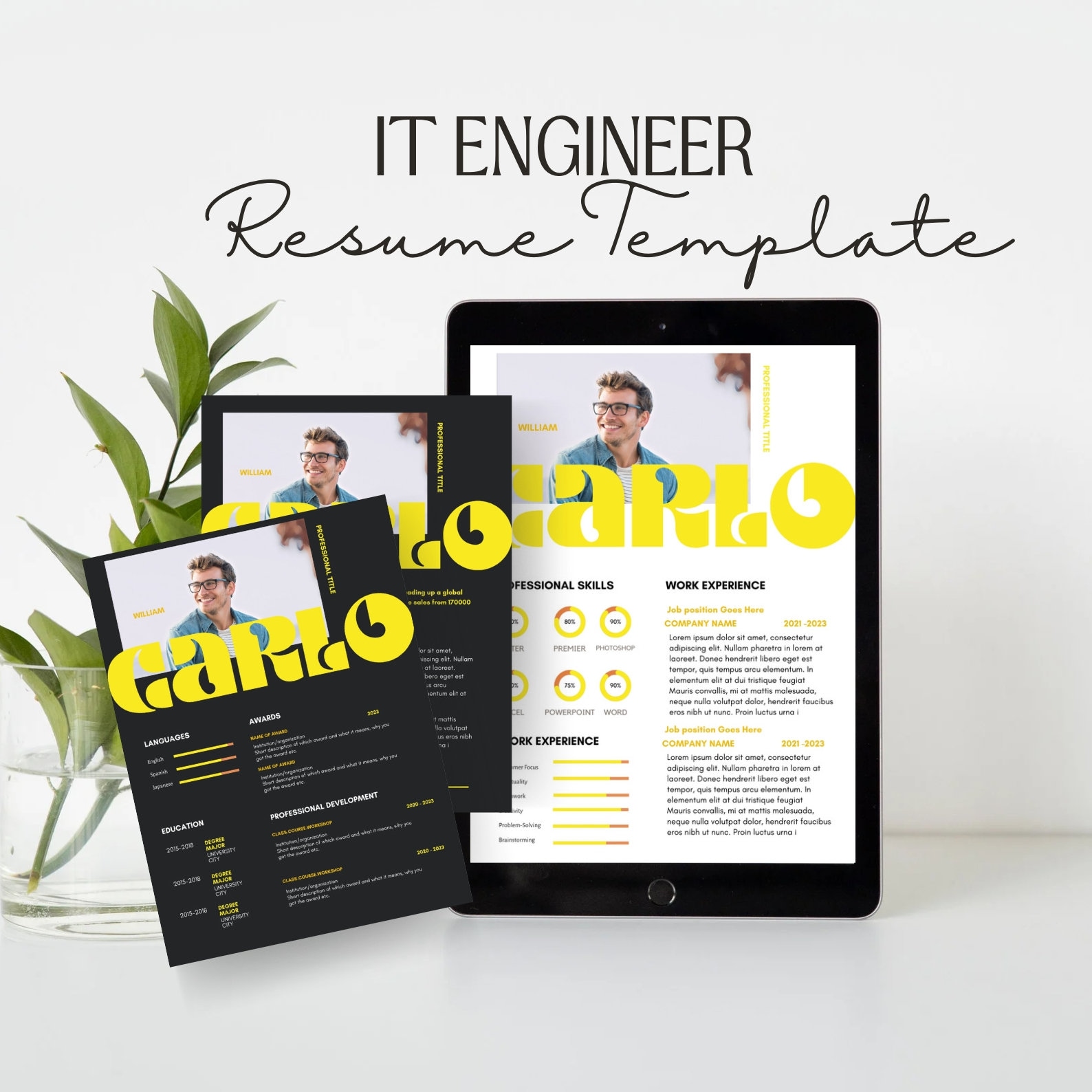 Executive Resume Template: Modern, Professional CV Design for Canva ...