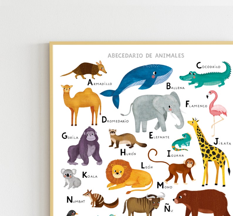 Sheets Animal Alphabet Spanish Print A3 - Etsy