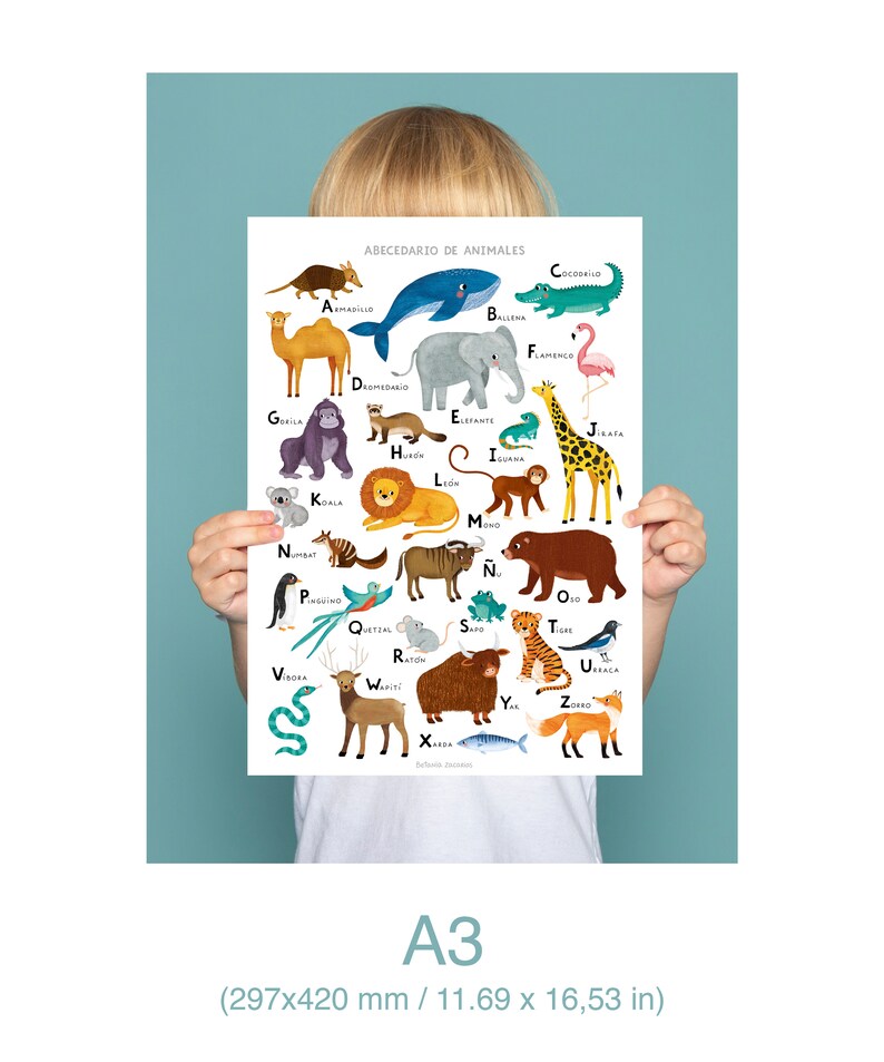Sheets Animal Alphabet Spanish Print A3 - Etsy