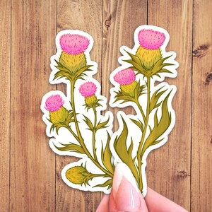 Scottish Thistle Sticker Pack: Waterproof Floral Stickers - Etsy