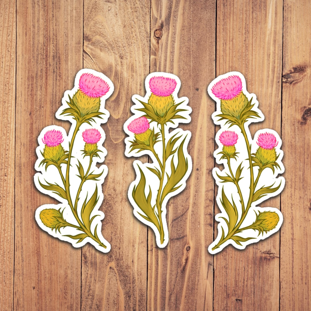 Thistle Sticker Pack | 3x Scottish Thistle | Highlands Nature Flower ...