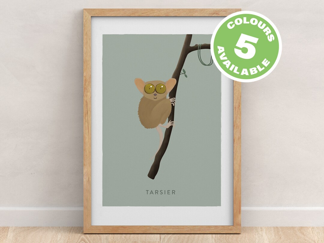Jungle Animal Nursery Print, Tarsier Wall Art, Rainforest Kids Room ...