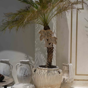 Raffia and Shells Palm Tree - Etsy