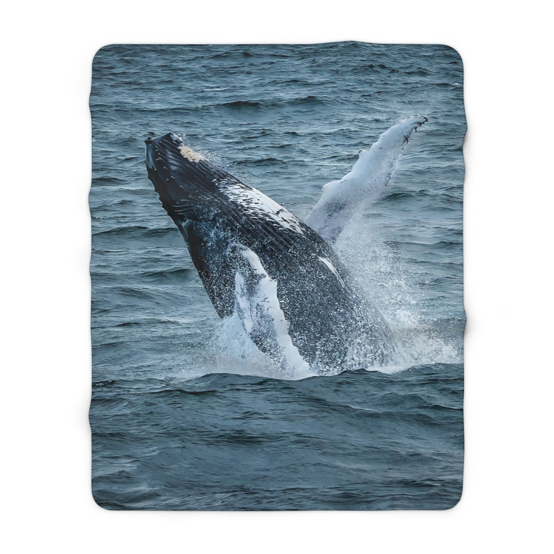 Breaching Whale Sherpa Fleece Blanket 60x80 Cozy Accent Piece for ...