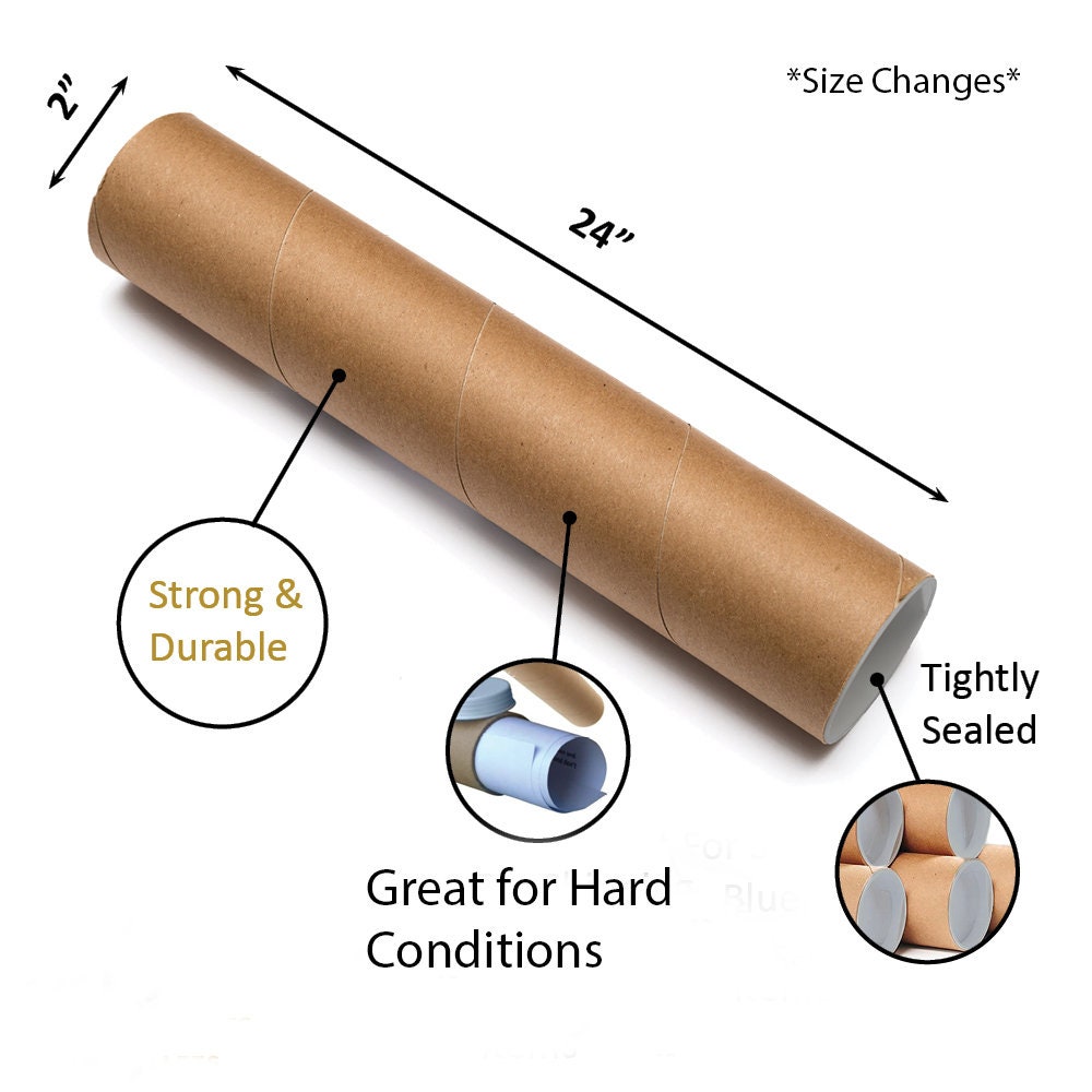 Poor Things Movie Premium Matte Poster Film/Emma Stone Room Decor/Poor ...