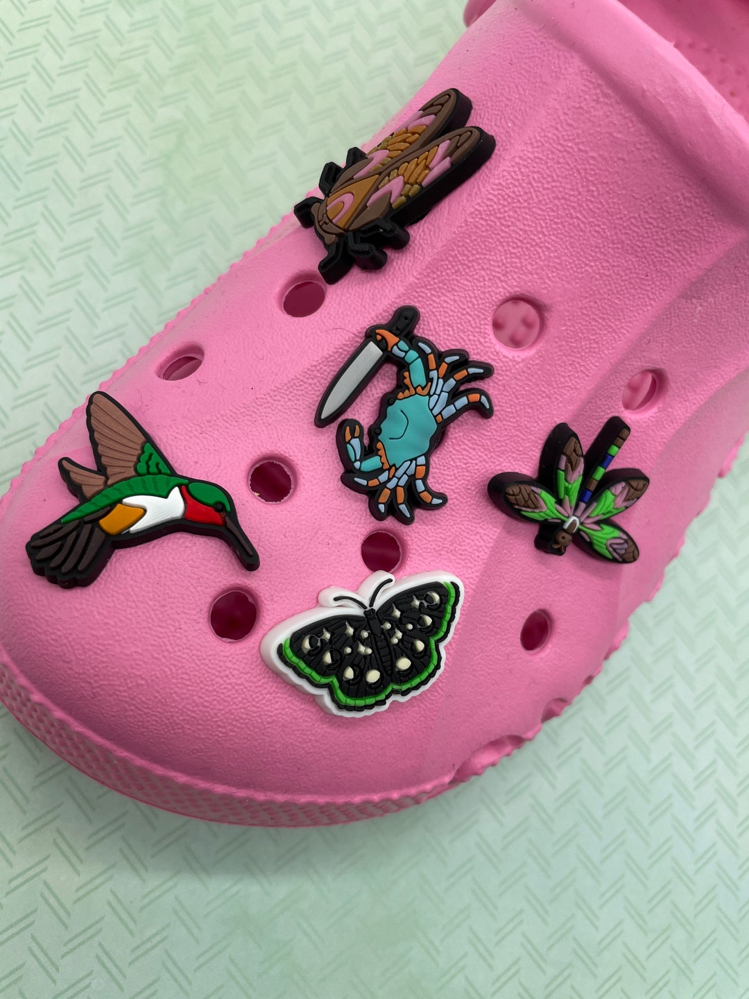 Hummingbird Shoe Charm - Bird Croc Charms - Insect Shoe Charm - Cicada ...