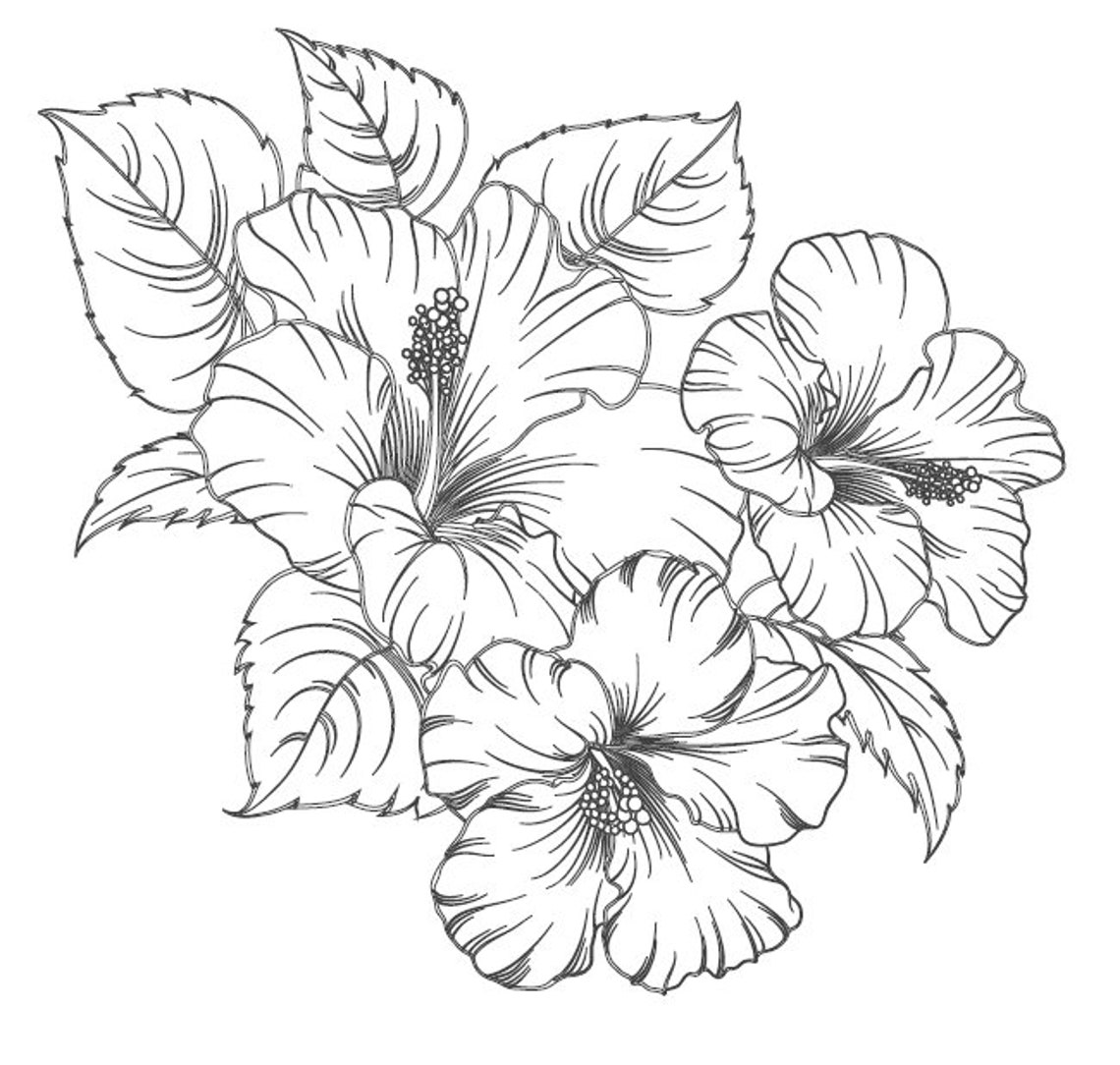 Over 200 Flower Colouring Sheets - Etsy
